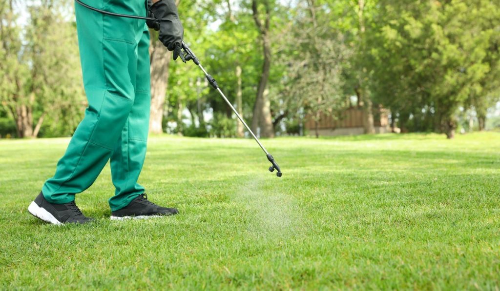 Lawn Disease Prevention and Control