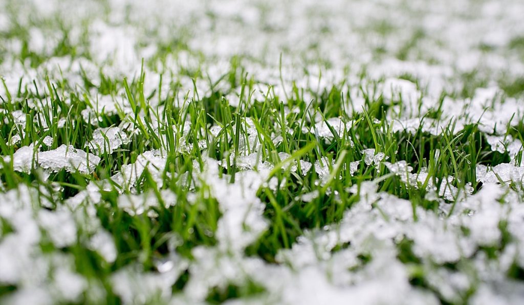 Winter Lawn Care: How to Prepare