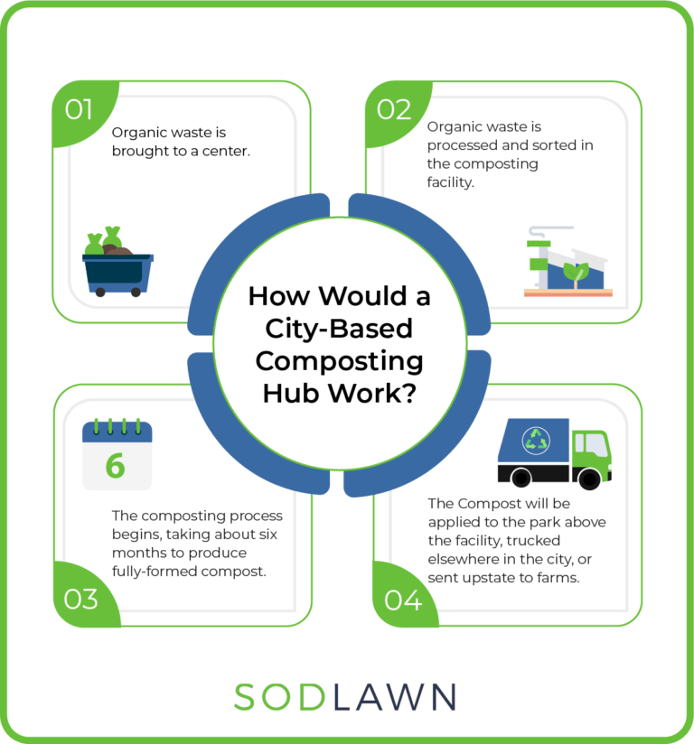 5 New Composting Ideas You Should Try