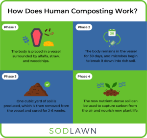 5 New Composting Ideas You Should Try