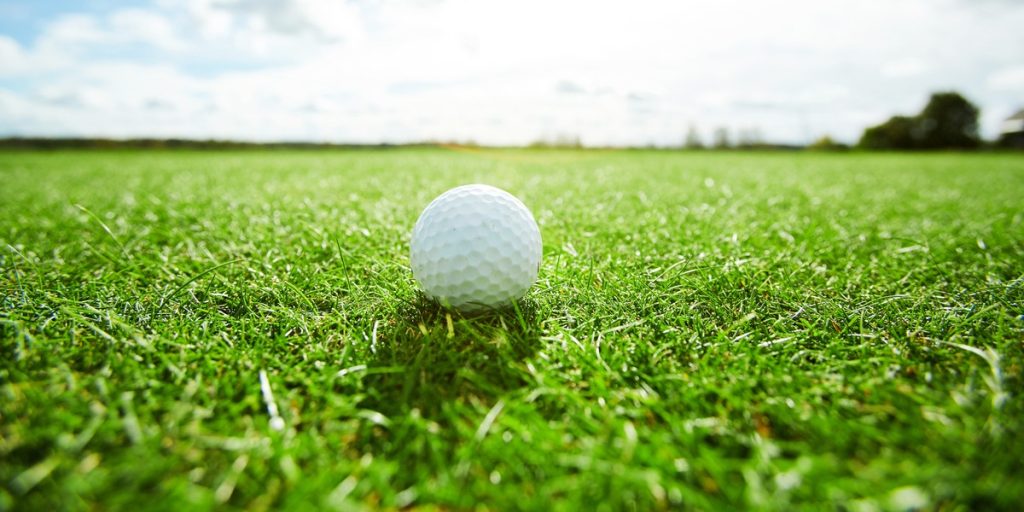 Tifgreen Bermuda: Pros, Cons, and Care