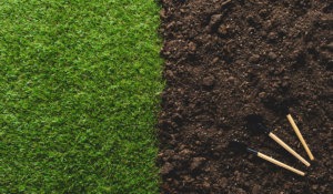 Fix Compacted Lawn Soil: Easy Steps