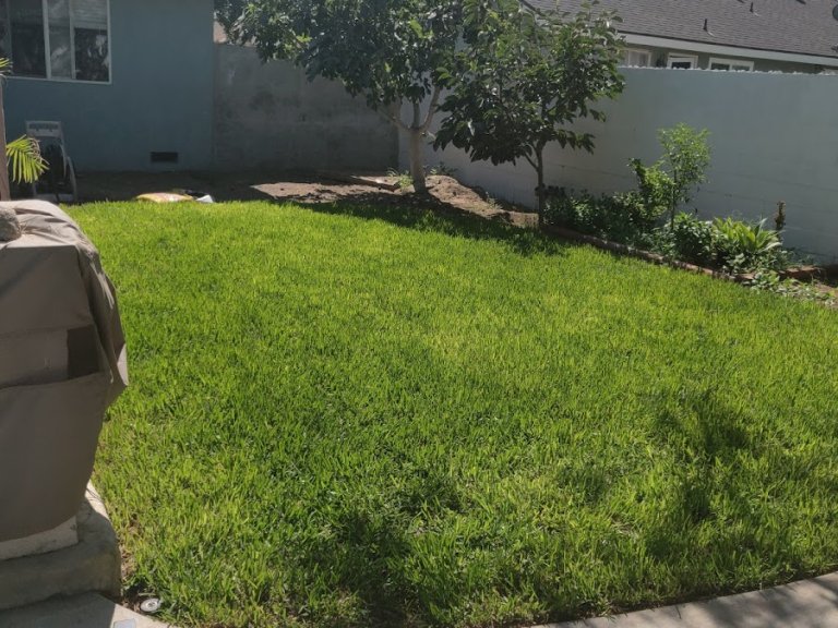 Buy Fresh Sod Sacramento | Local Farm Delivery & Installation